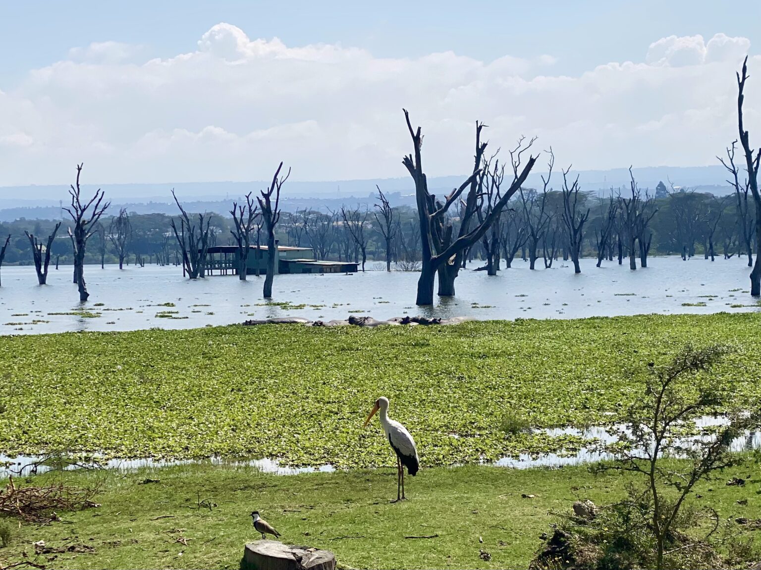 PIDG (Private Infrastructure Development Group)