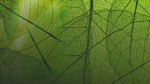 PIDG Climate and Nature Approach - PIDG