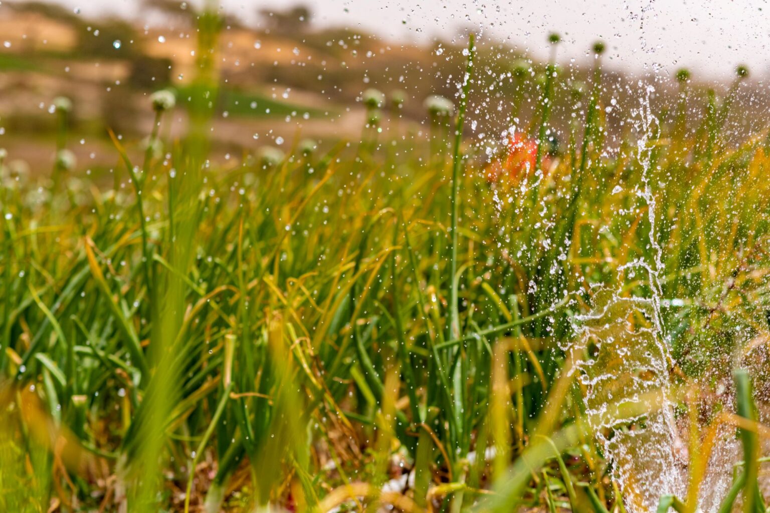 PIDG (Private Infrastructure Development Group)