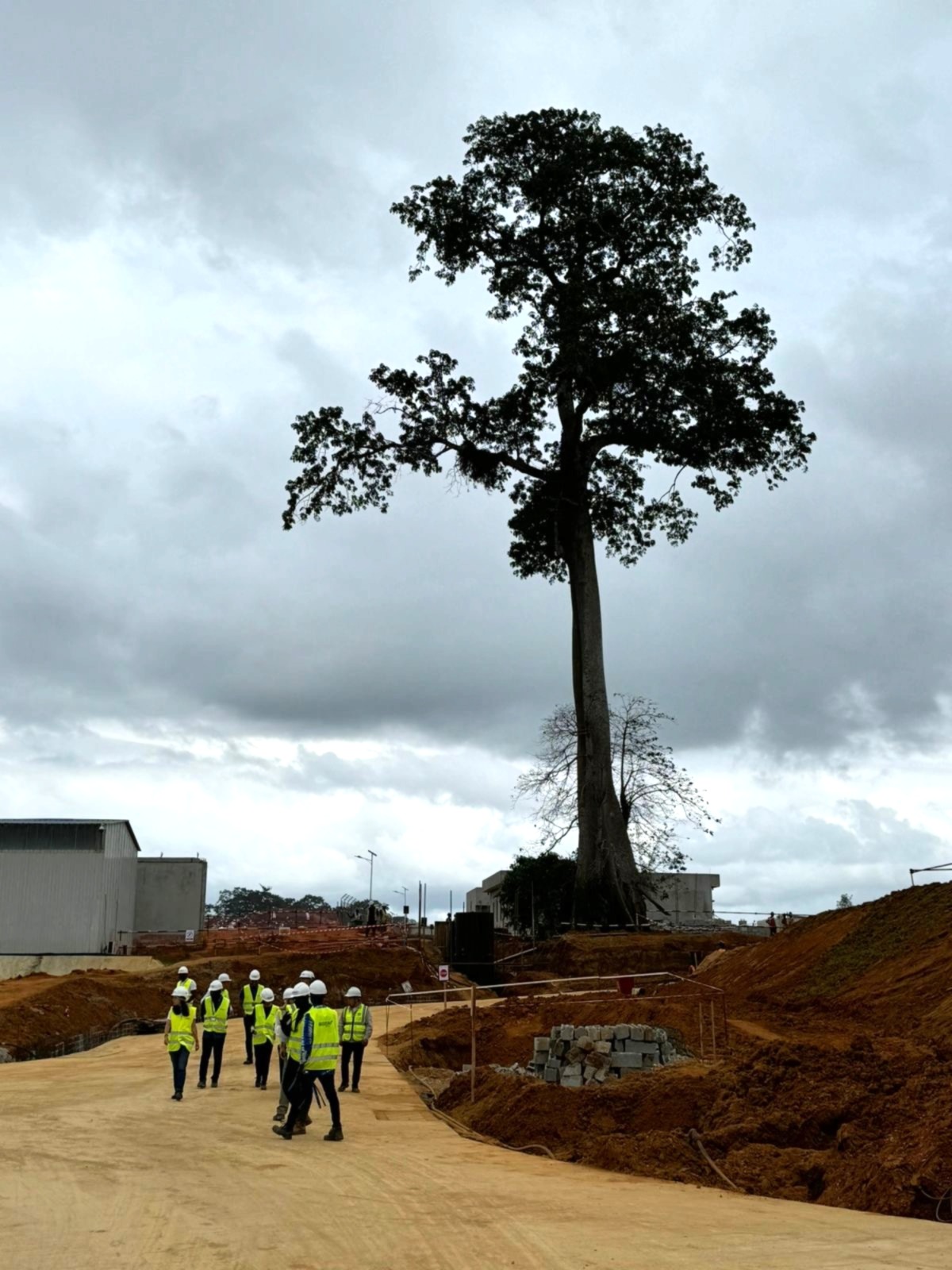 Technical Assistance - PIDG